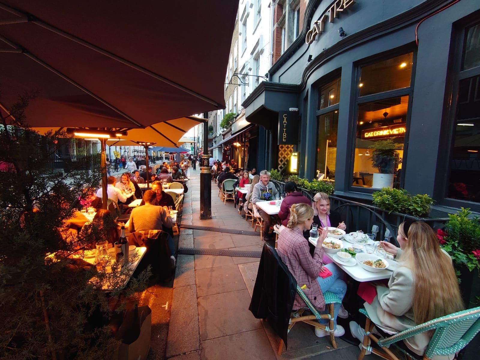 Healthy Vietnamese Food Delivery, Takeaway, Eat-In | Cay Tre Restaurants